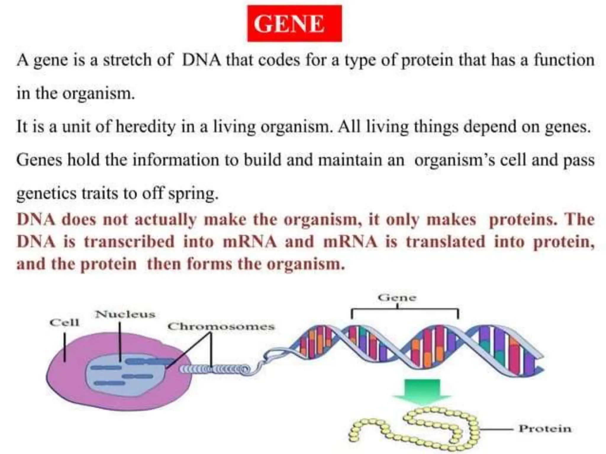 rDNA technology and its application. techniques. | PPTX