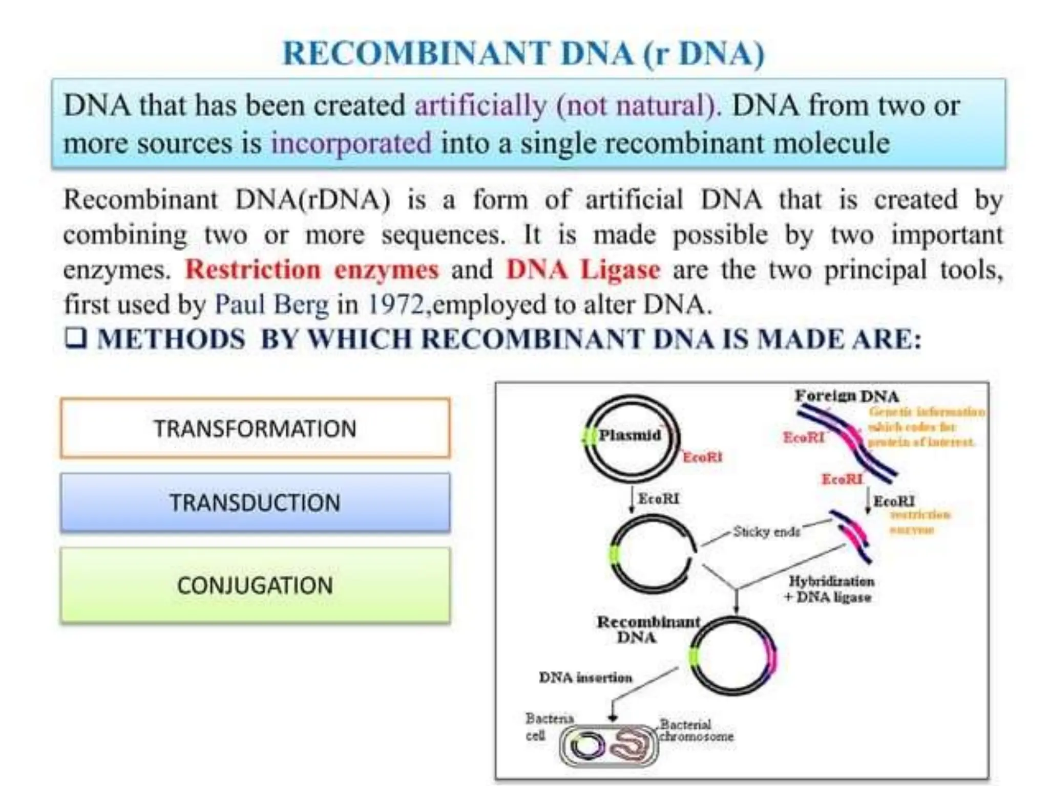 rDNA technology and its application. techniques. | PPTX