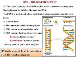 rDNA technology and its application. techniques. | PPTX