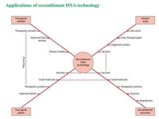 rDNA technology and its application. techniques. | PPTX