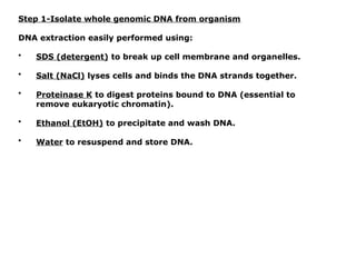 rDNA Technology and recombinant dna technology.ppt