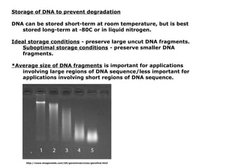 rDNA Technology and recombinant dna technology.ppt