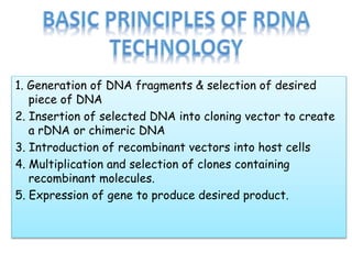 rDNA technology by Adelin Nijish | PPT