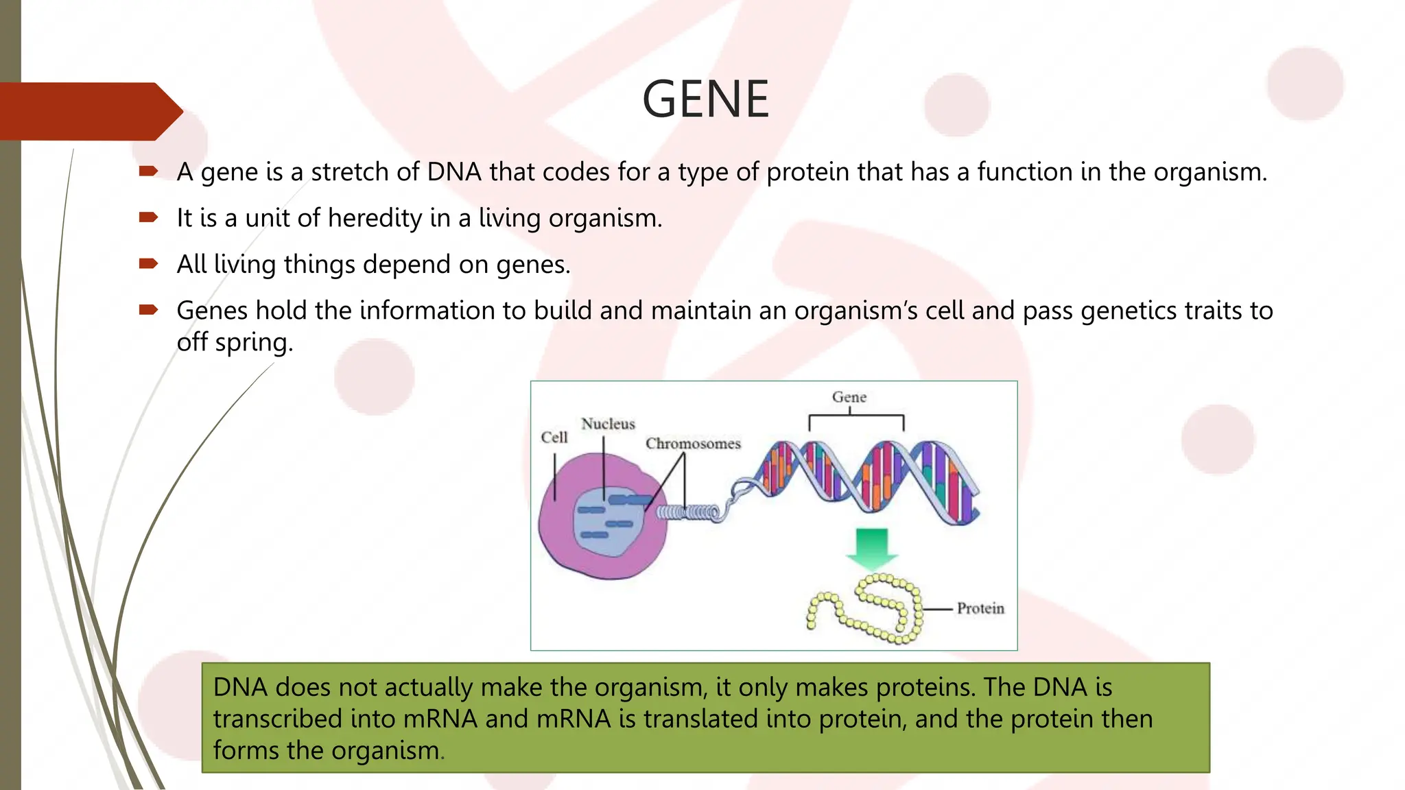 Recombinant DNA Technology: A Tool for Genetic Engineering and Gene ...