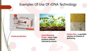 Recombinant DNA Technology: A Tool for Genetic Engineering and Gene ...