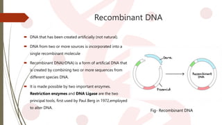 Recombinant DNA Technology: A Tool for Genetic Engineering and Gene ...