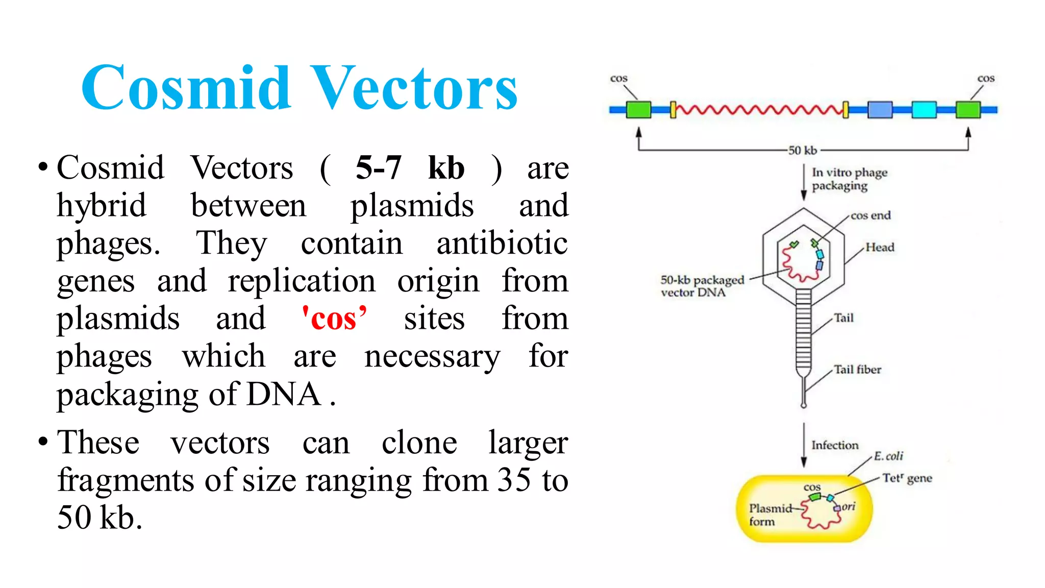 Recombinant DNA Technology & Gene Therapy | PDF