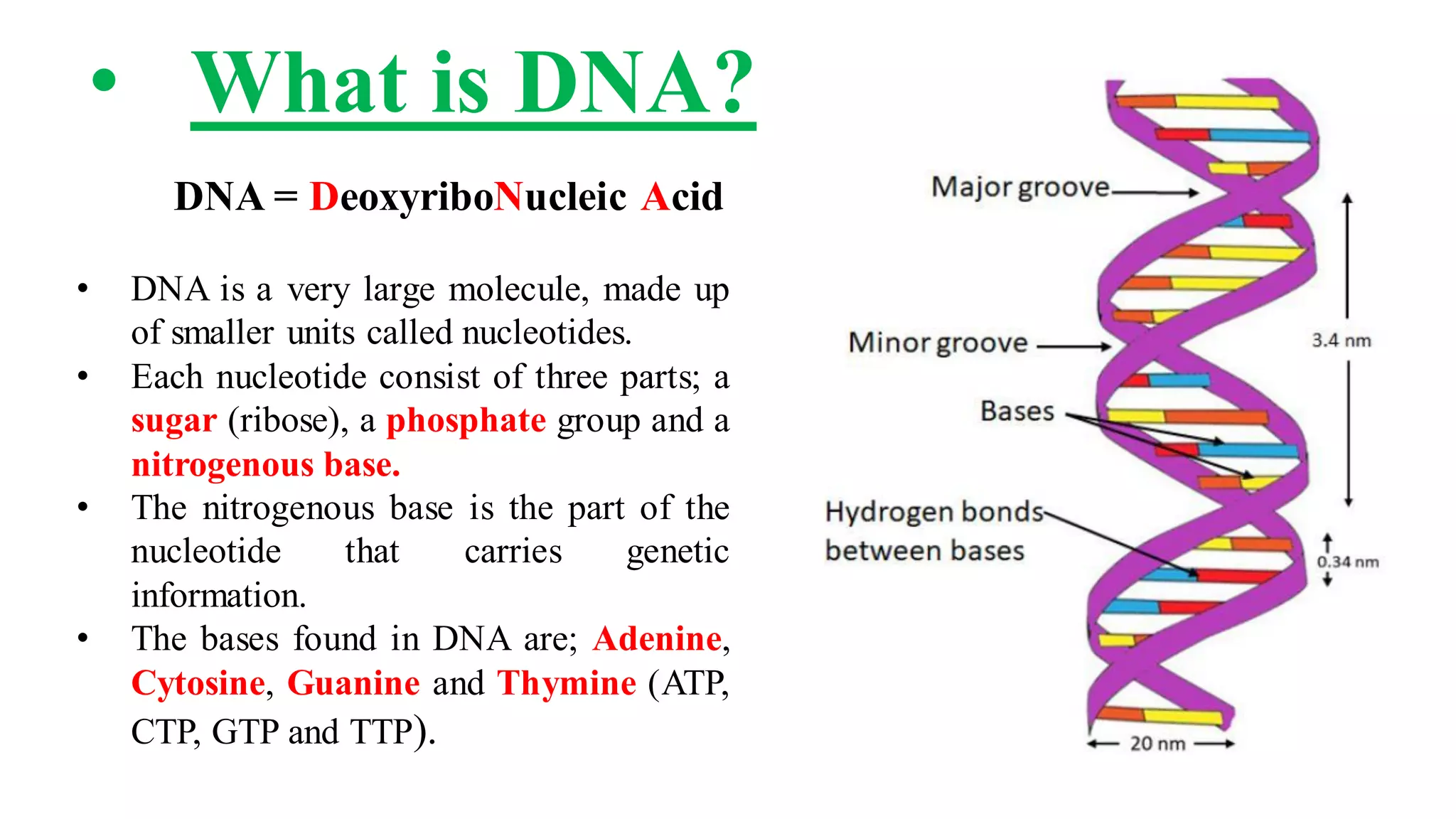 Recombinant DNA Technology & Gene Therapy | PDF