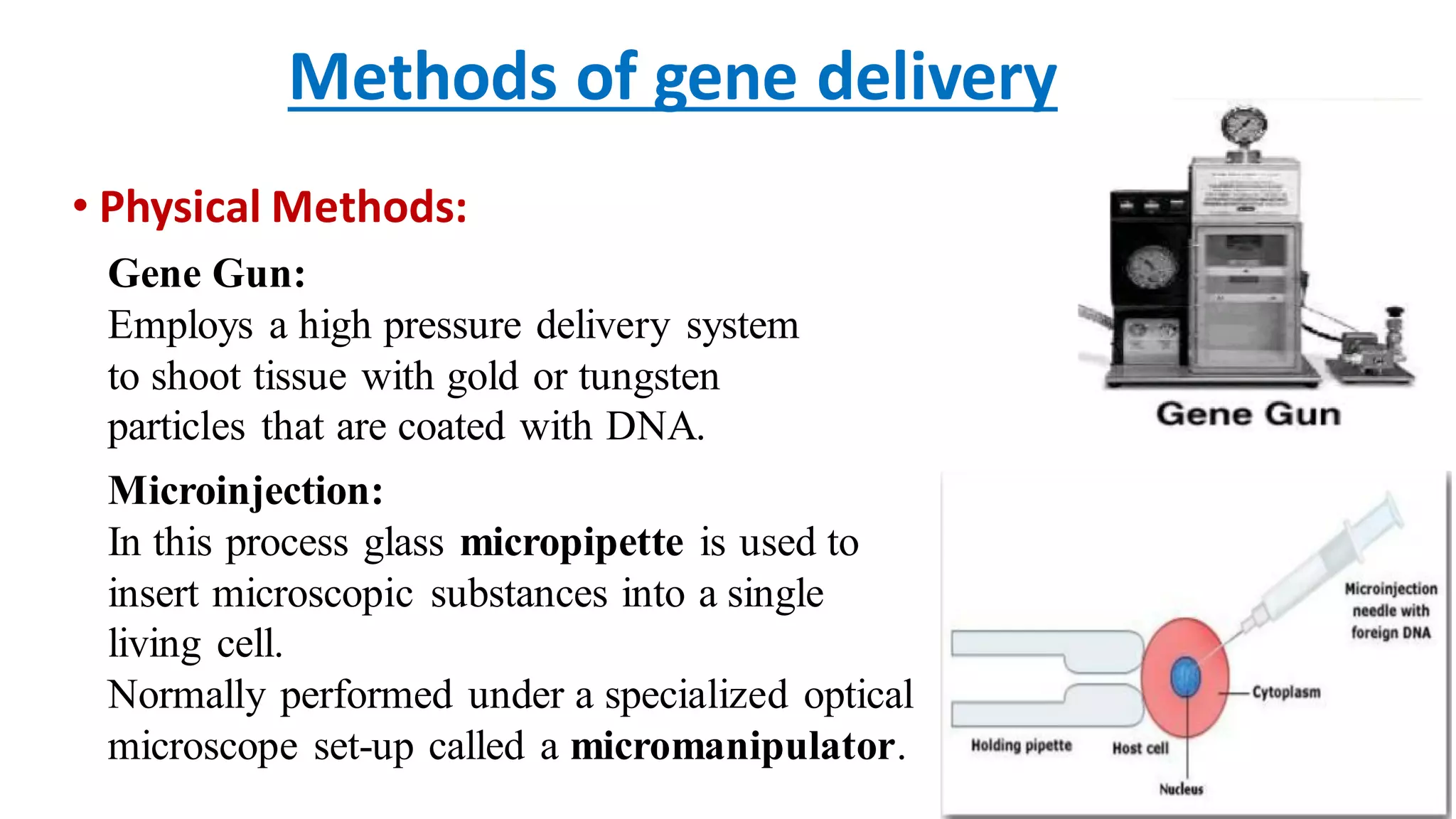 Recombinant DNA Technology & Gene Therapy | PDF