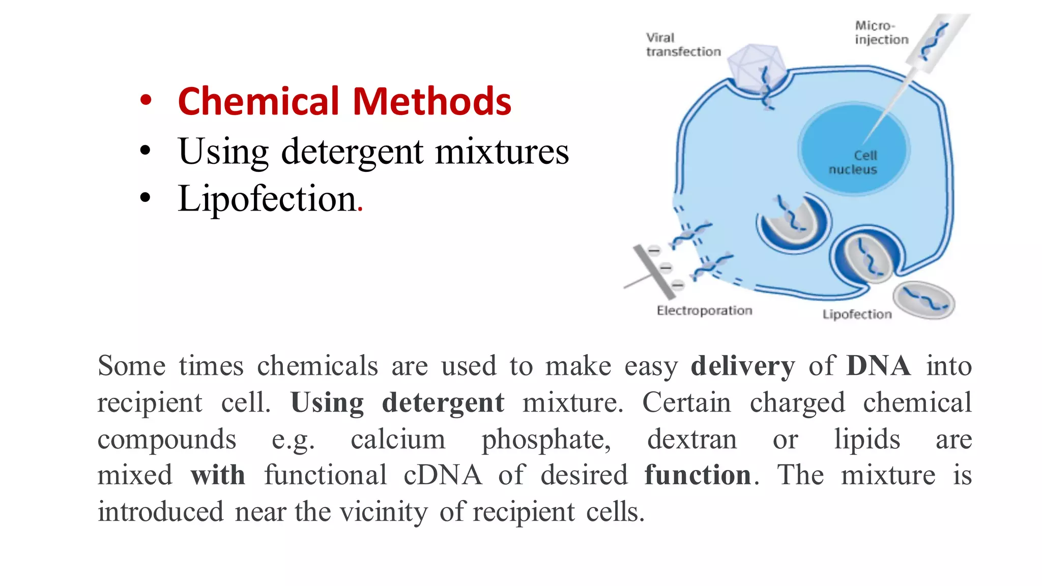Recombinant DNA Technology & Gene Therapy | PDF | Biotech and ...