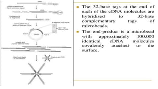 Massively Parallel Signature Sequencing (MPSS) | PPTX
