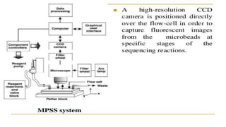 Massively Parallel Signature Sequencing (MPSS) | PPTX