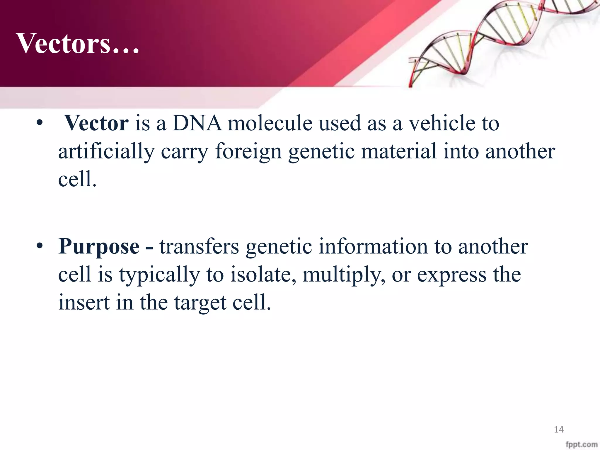 rDNA technology Recombinant DNA and its enzymes | PPTX
