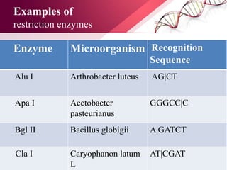rDNA technology Recombinant DNA and its enzymes | PPTX