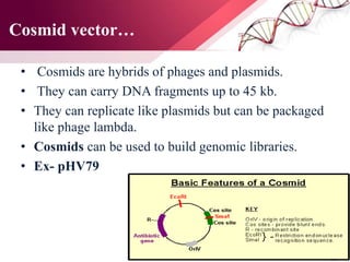 rDNA technology Recombinant DNA and its enzymes | PPTX