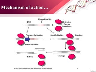 rDNA technology | PPT