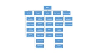 R&D Org Structure for Manufacturing Industry | PPTX