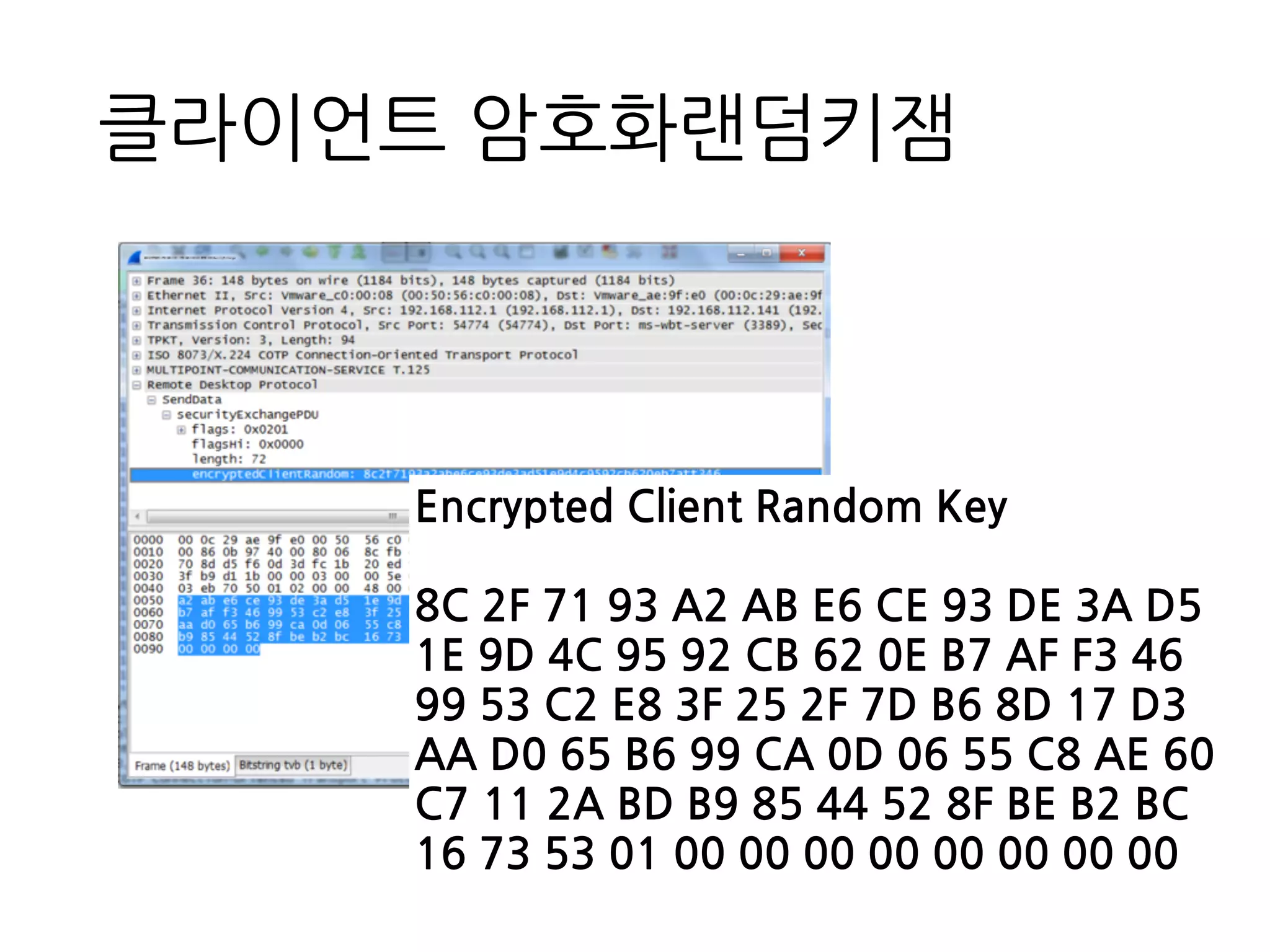 RDP Packet Analysis 삽질기 - Basic Level 1 | PDF