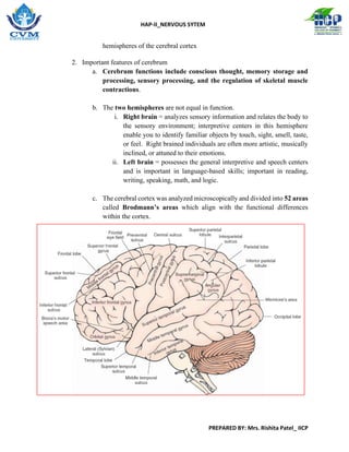RDP_UPDATED_HAP-II_NERVOUS SYSTEM_ BRAIN.pdf