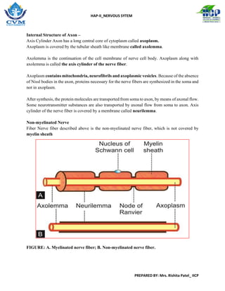 RDP_UPDATED_HAP-II_NERVOUS SYSTEM_ BRAIN.pdf