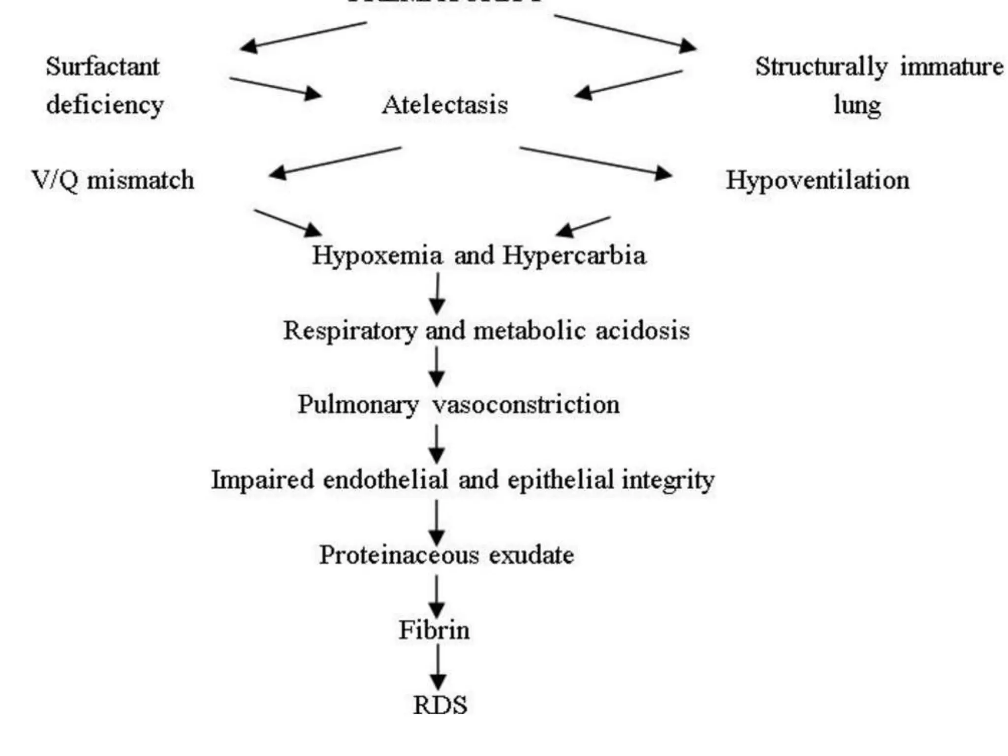RDS IN NEONATES.pptx