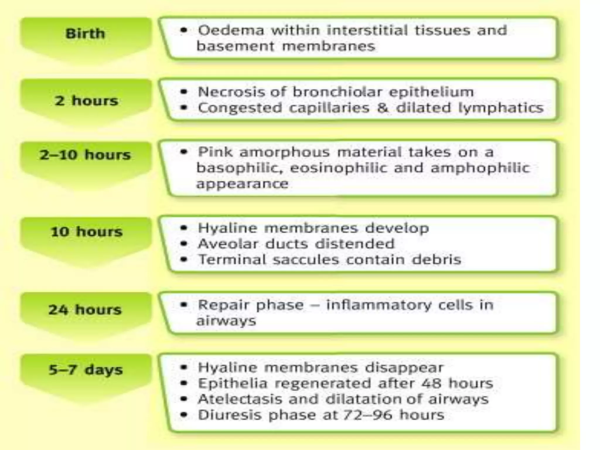 RDS IN NEONATES.pptx