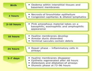 RDS IN NEONATES.pptx