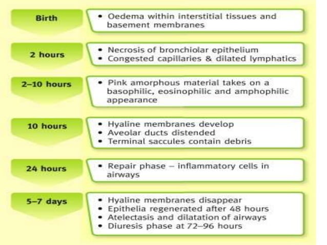 RDS IN NEONATES.pptx