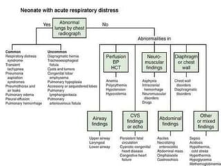RDS IN NEONATES.pptx