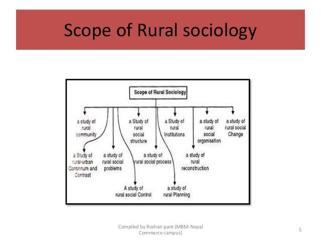 Rural social structure,Social change and continuity