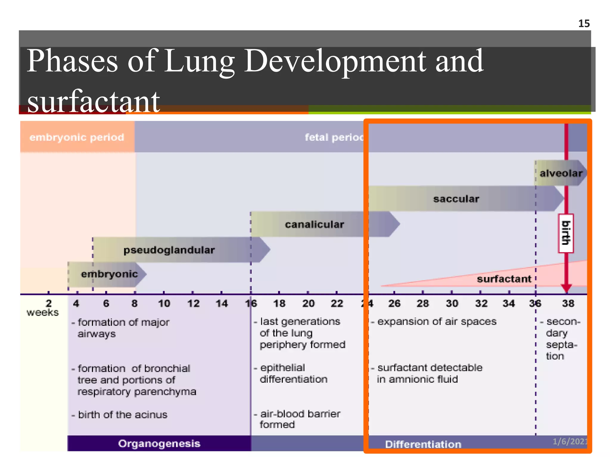 RDS (neonate respiratory distress syndrome) | PPTX