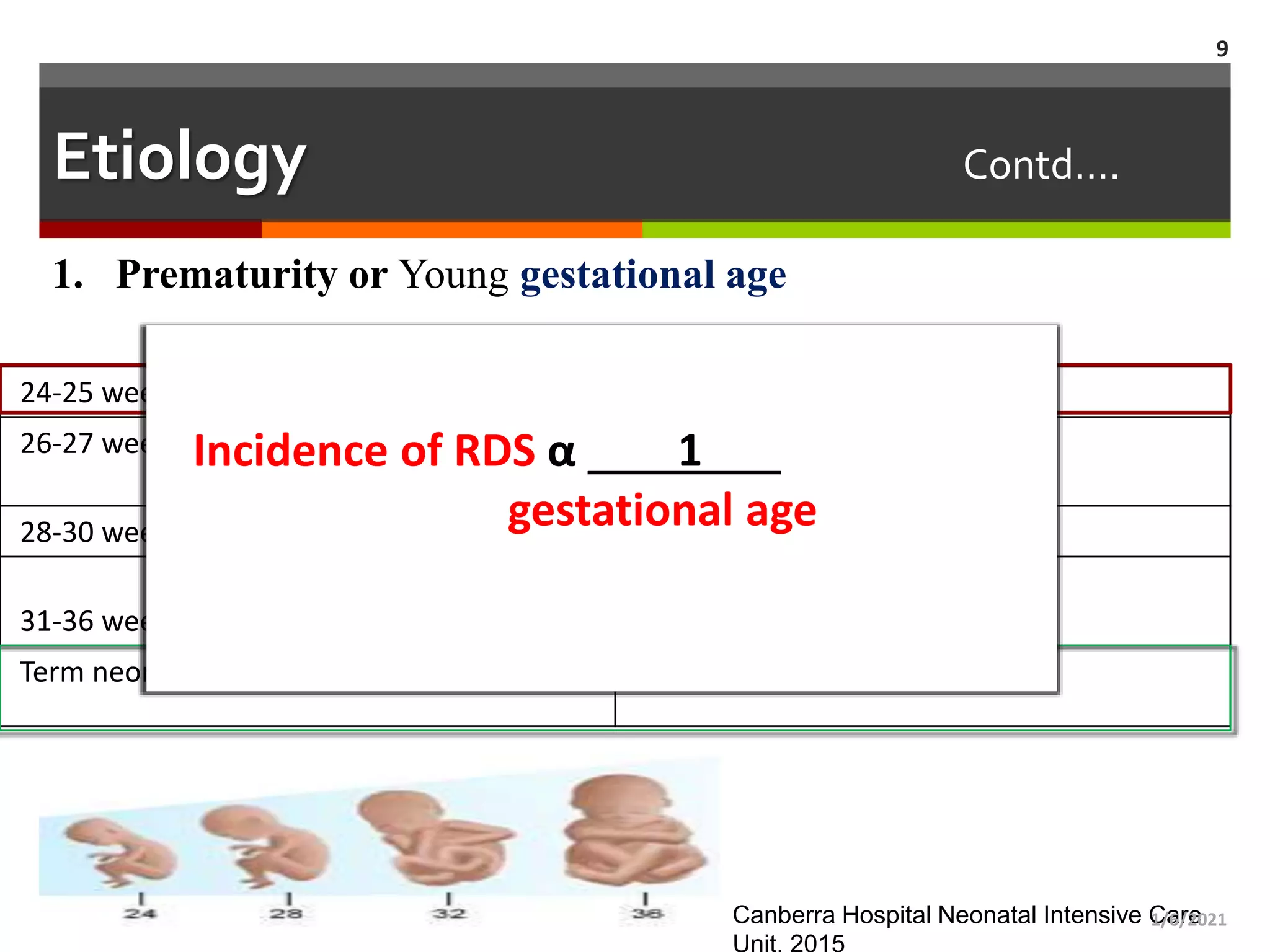 RDS (neonate respiratory distress syndrome) | PPTX
