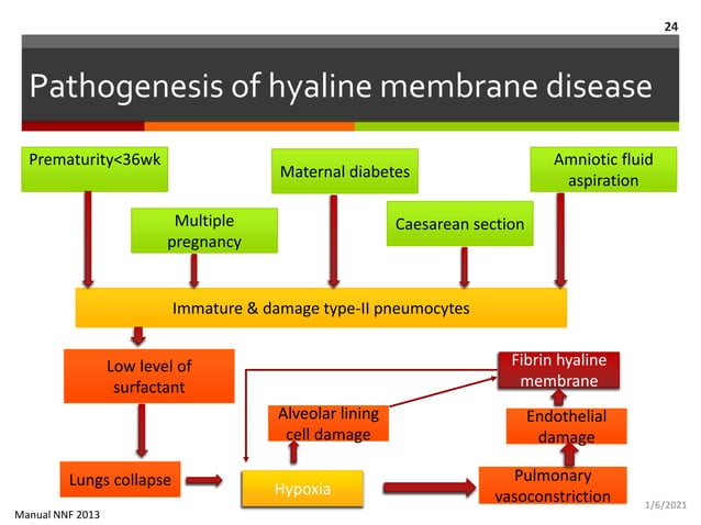 RDS (neonate respiratory distress syndrome) | PPTX