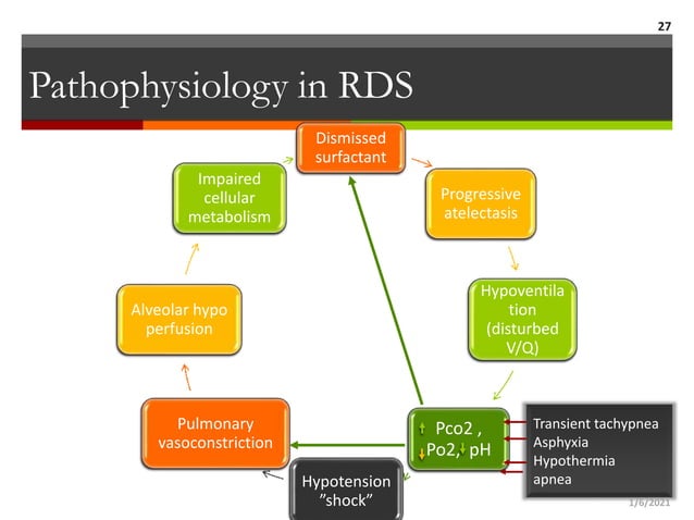 RDS (neonate respiratory distress syndrome) | PPTX