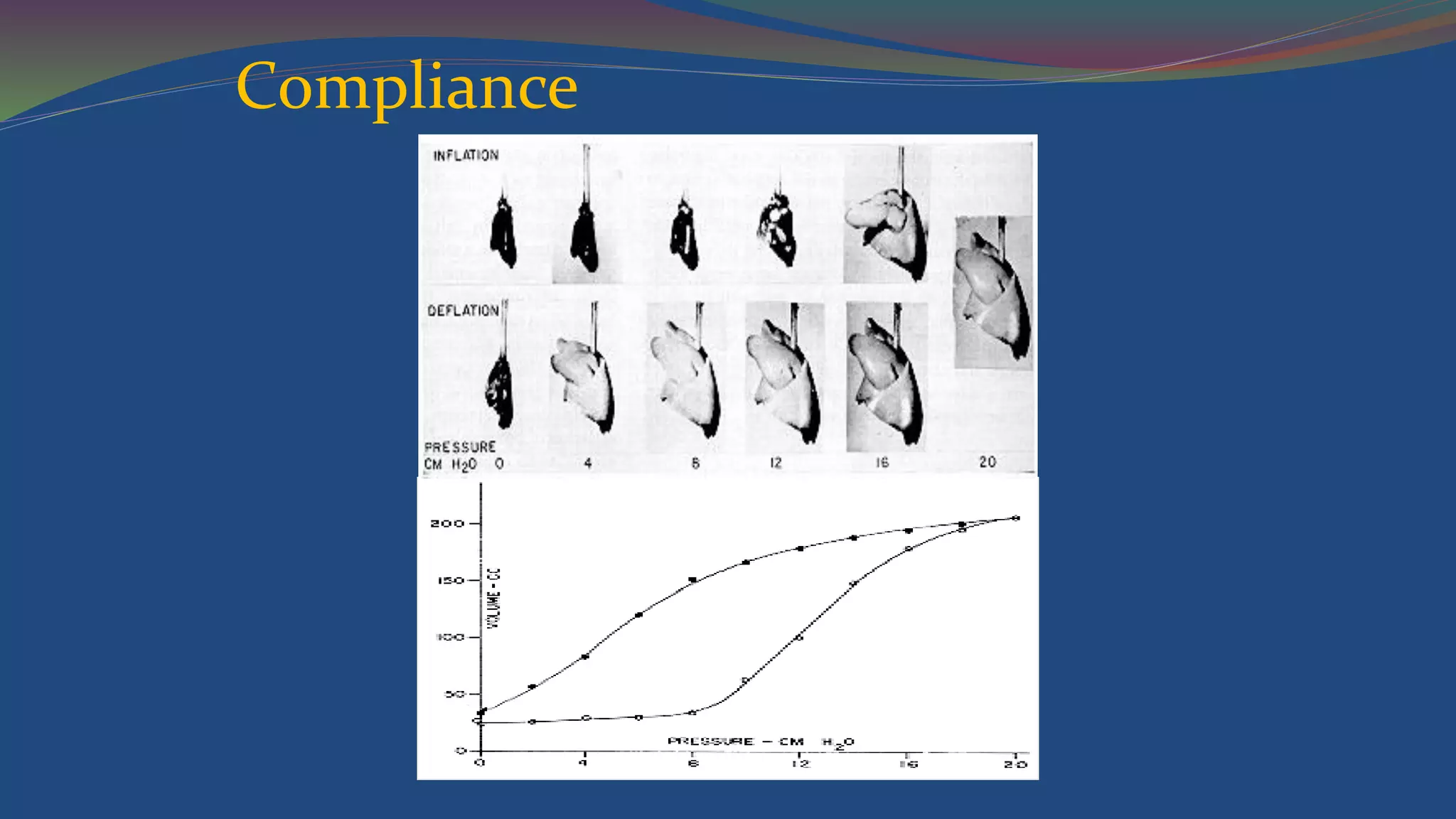 Basic concepts in neonatal ventilation - Safe ventilation of neonate ...