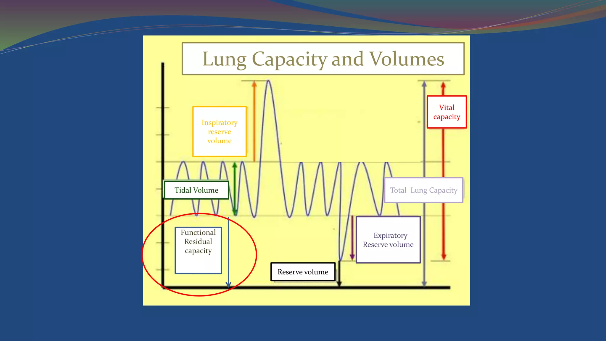 Basic concepts in neonatal ventilation - Safe ventilation of neonate ...