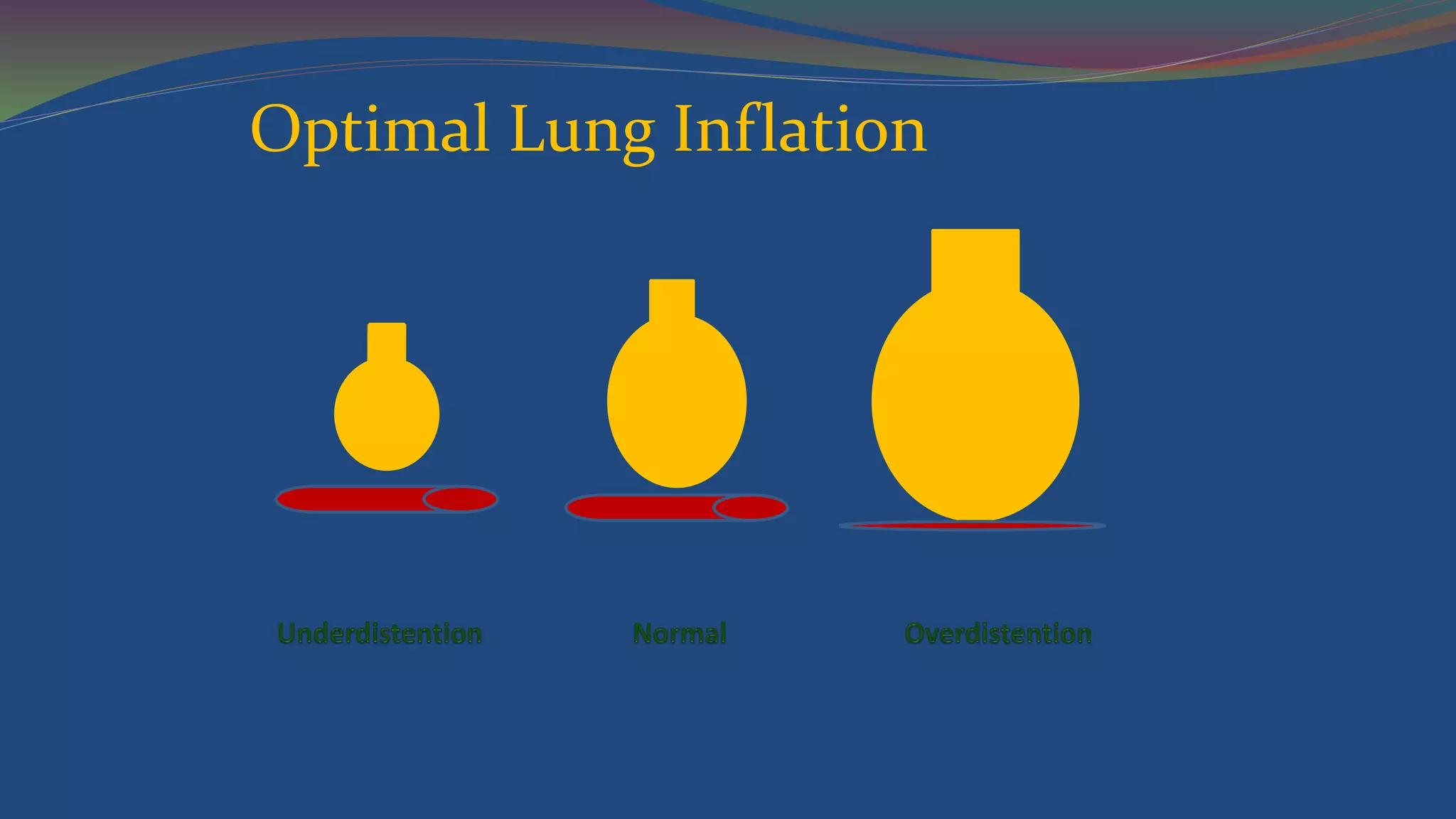 Basic concepts in neonatal ventilation - Safe ventilation of neonate ...