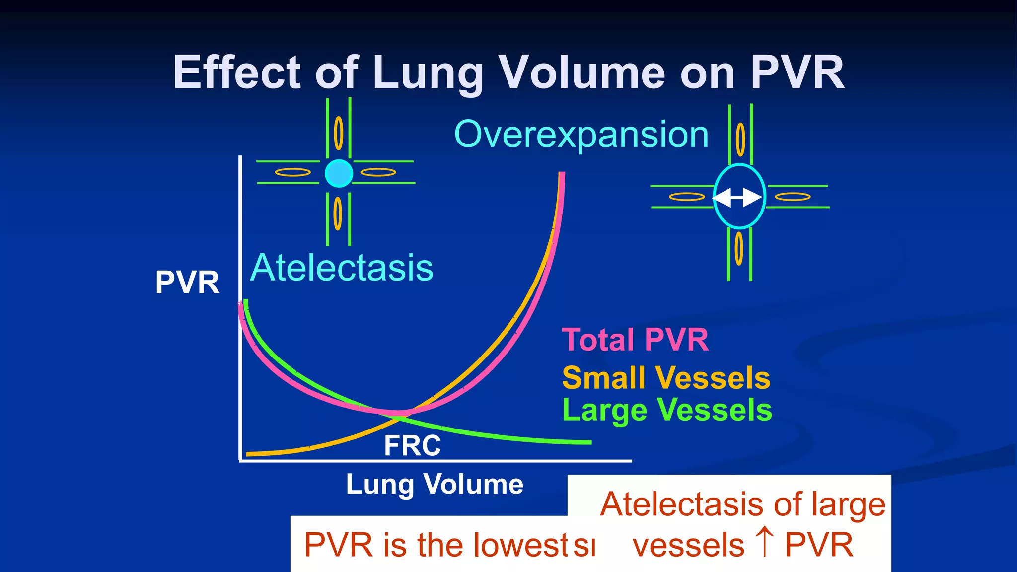 Basic concepts in neonatal ventilation - Safe ventilation of neonate ...