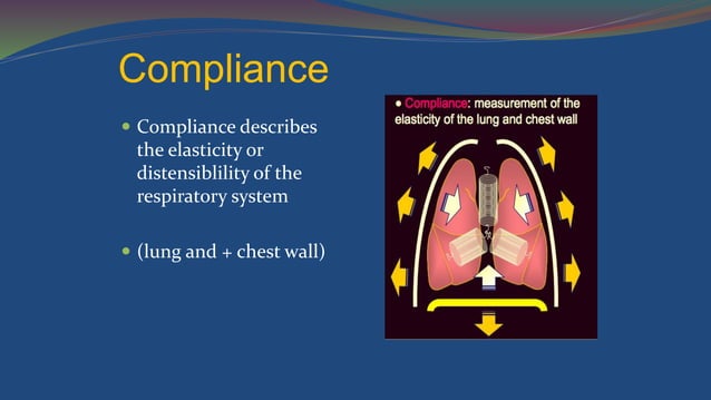 Basic concepts in neonatal ventilation - Safe ventilation of neonate ...