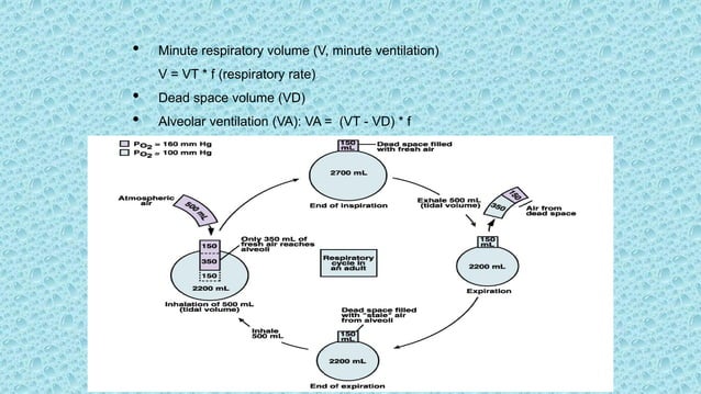 Basic concepts in neonatal ventilation - Safe ventilation of neonate ...