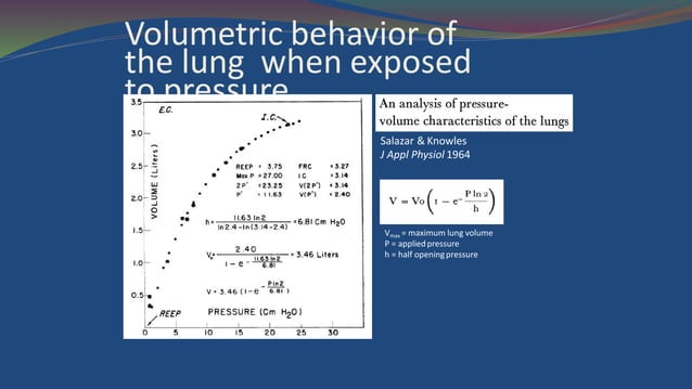 Basic concepts in neonatal ventilation - Safe ventilation of neonate ...