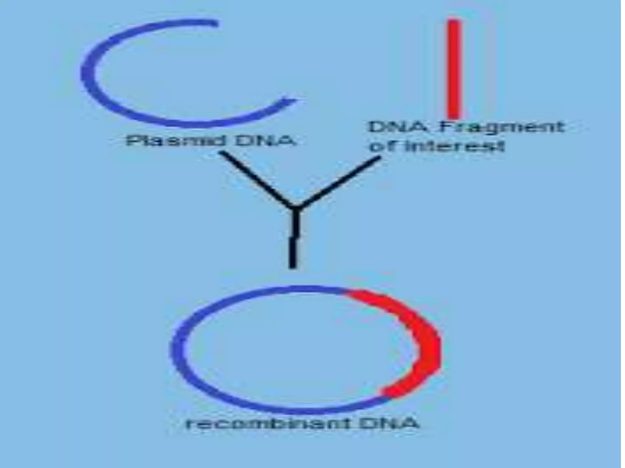 history of recombinant DNA technology | PPTX