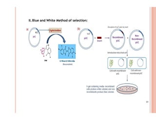 Rdt (recombinant dna technology) | PPT