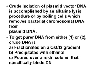 RECOMBINANT DNA TECHNOLOGY (Rdt) (RDT) [RDT] | PPT