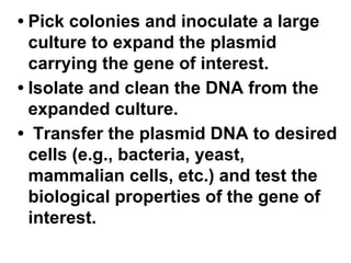 RECOMBINANT DNA TECHNOLOGY (Rdt) (RDT) [RDT] | PPT