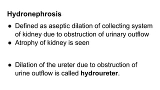 Hydronephrosis - Pathology - Allied Health Sciences | PPTX