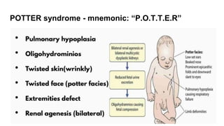 Congenital and inherited renal diseases - Medicine - RDT | PPTX