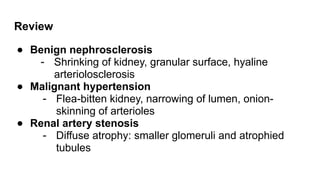 Renal vascular diseases - Pathology - BSc. RDT | PPTX