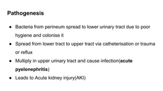 Pyelonephritis, Tuberculous pyelonephritis - Pathology | PPTX