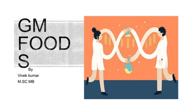 GM foods or Genetically modified foods | PPTX